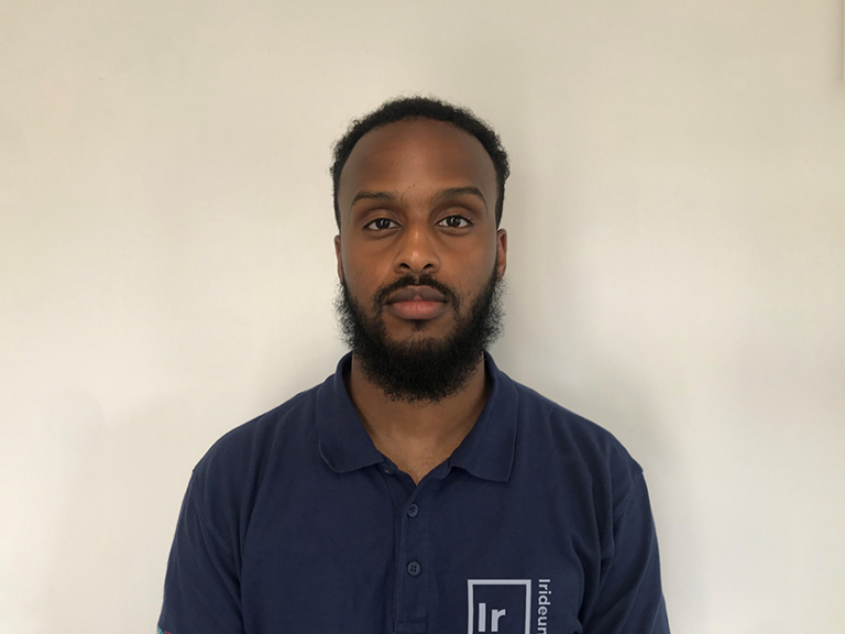 Working as a Project Engineer - Irideum